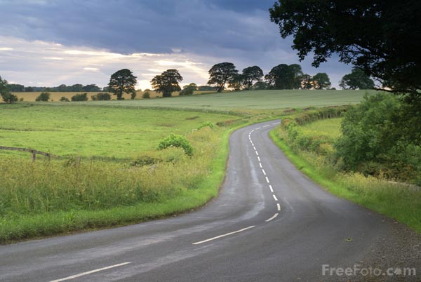 Stay Safe on Urban and Rural Roads – CARCHEX®