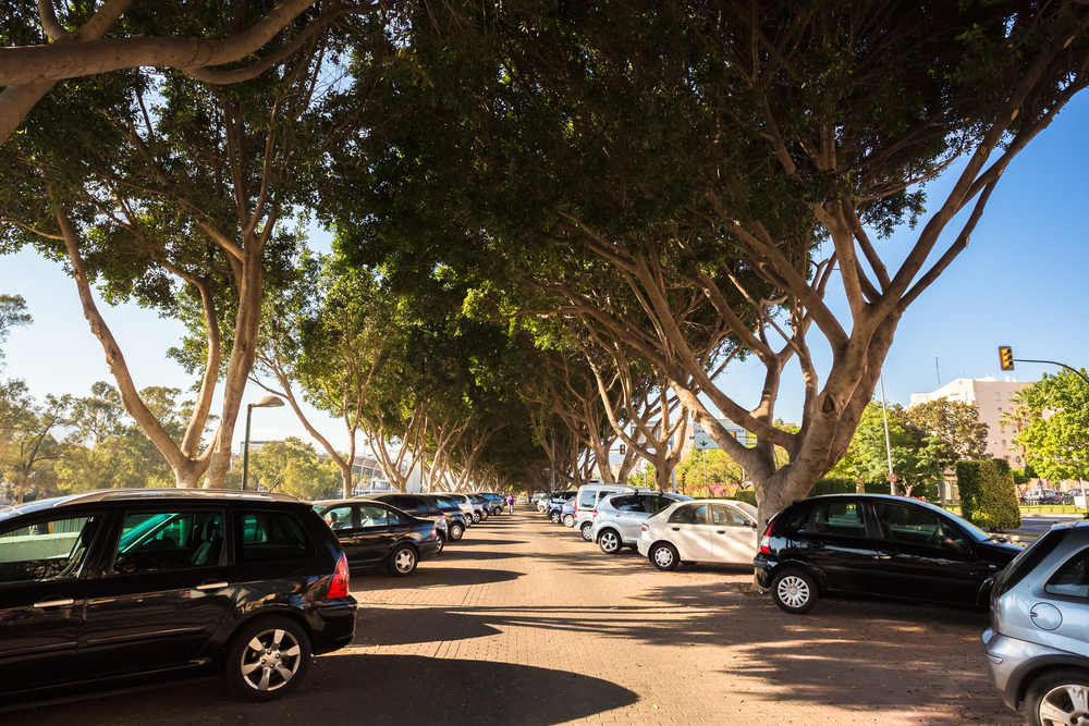 How to Protect Your Car from the Sun – CARCHEX®